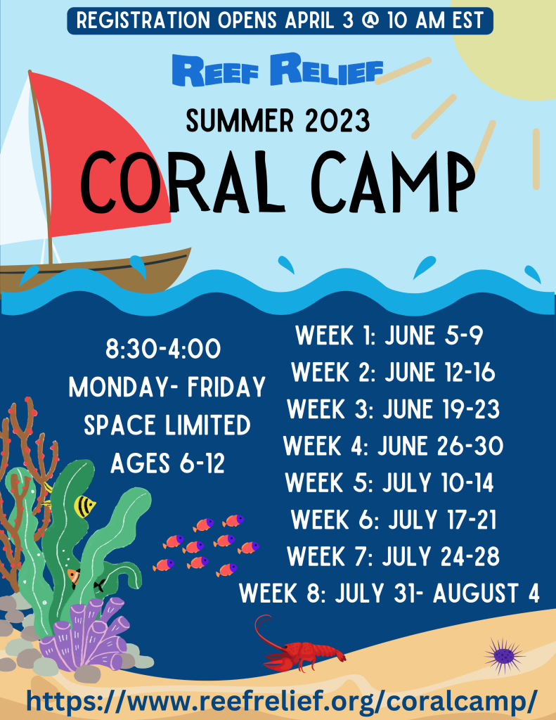 Coral Camp 2023 | Reef Relief