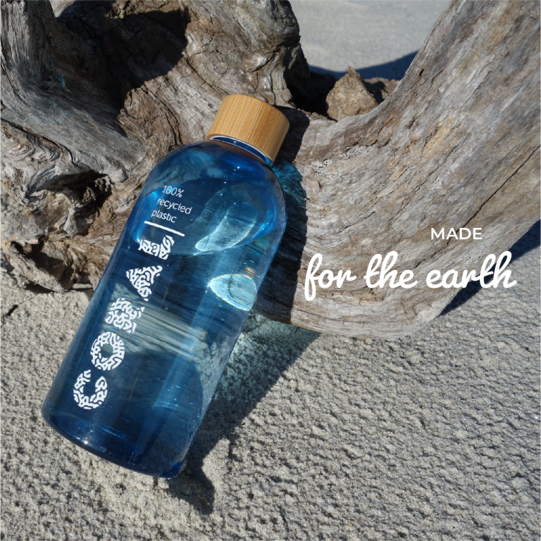 Reef Relief | Learn. Explore. Act Now.