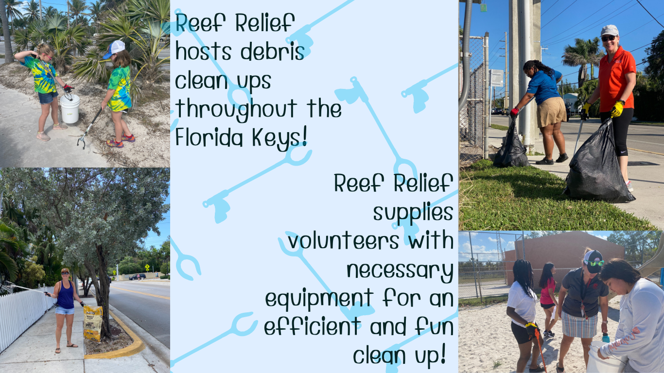 Marine Debris Clean Ups | Reef Relief