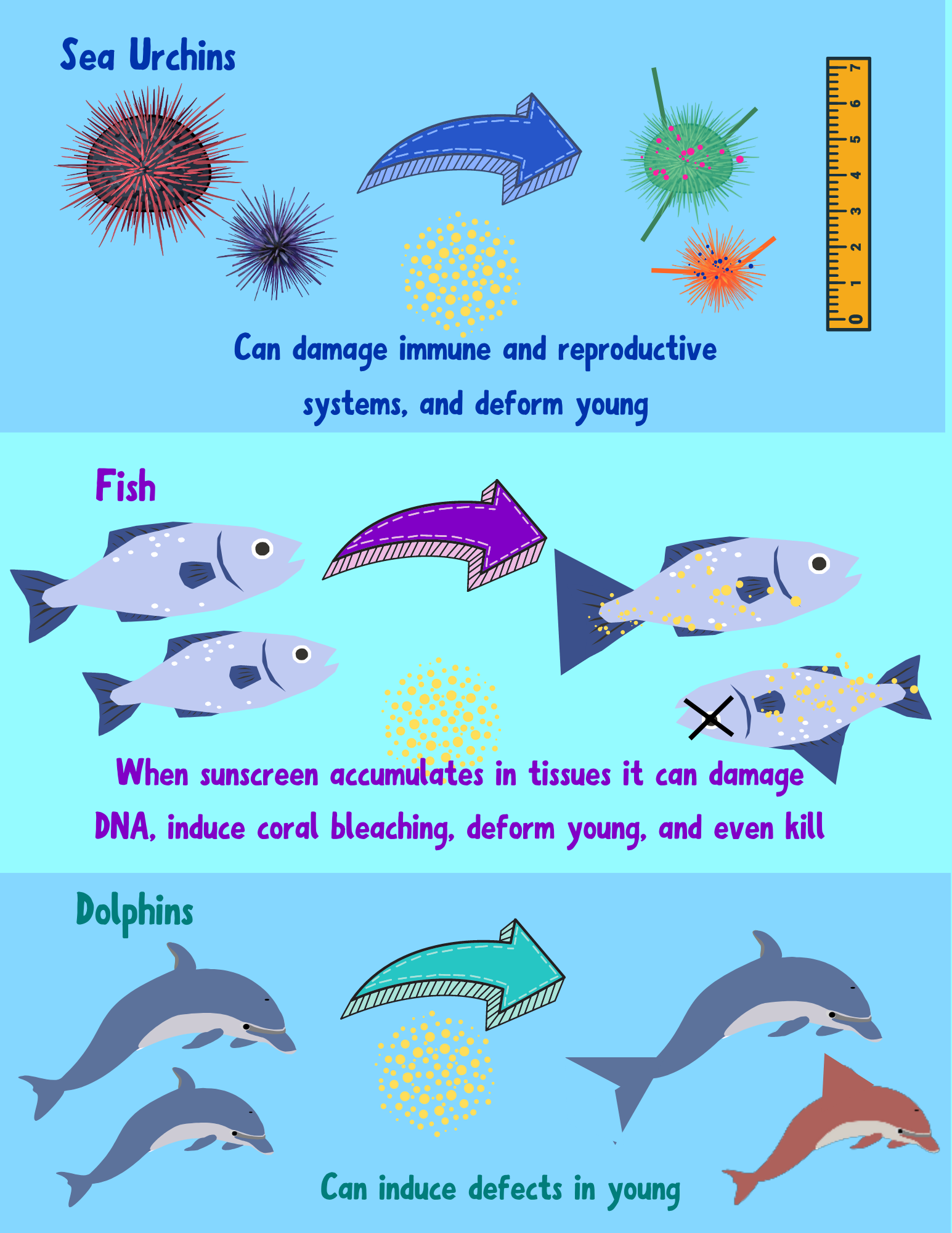 Understanding Sunscreens: What to Avoid and Why | Reef Relief