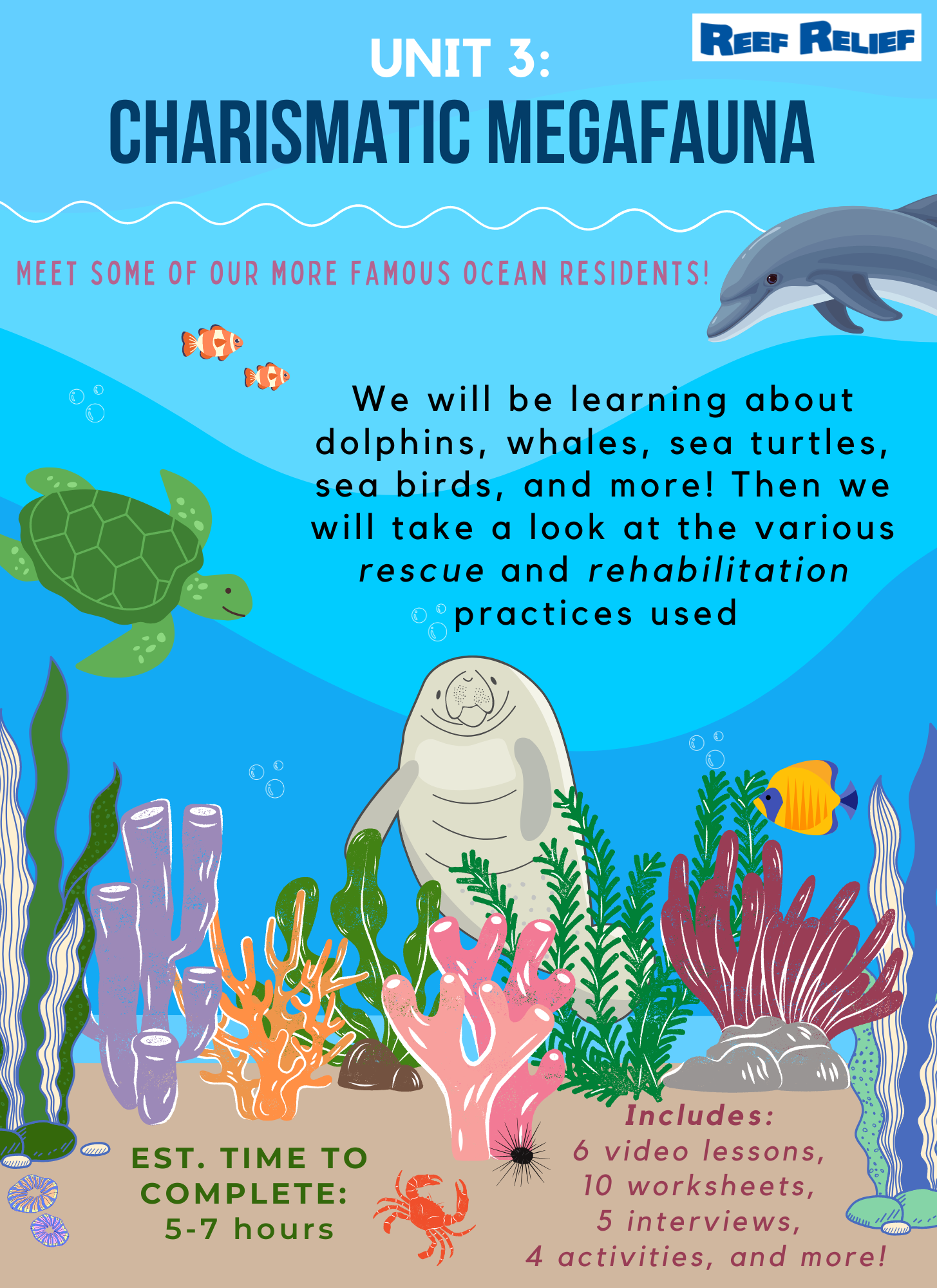 Virtual Classroom | Reef Relief