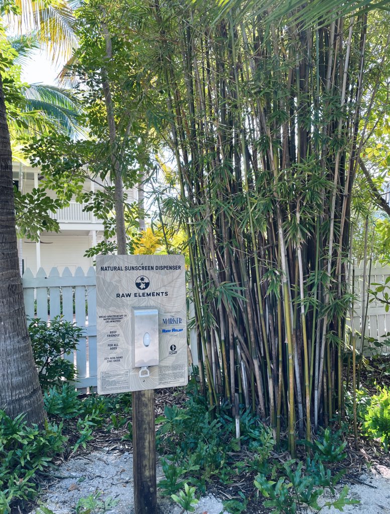 Sunscreen | Reef Relief