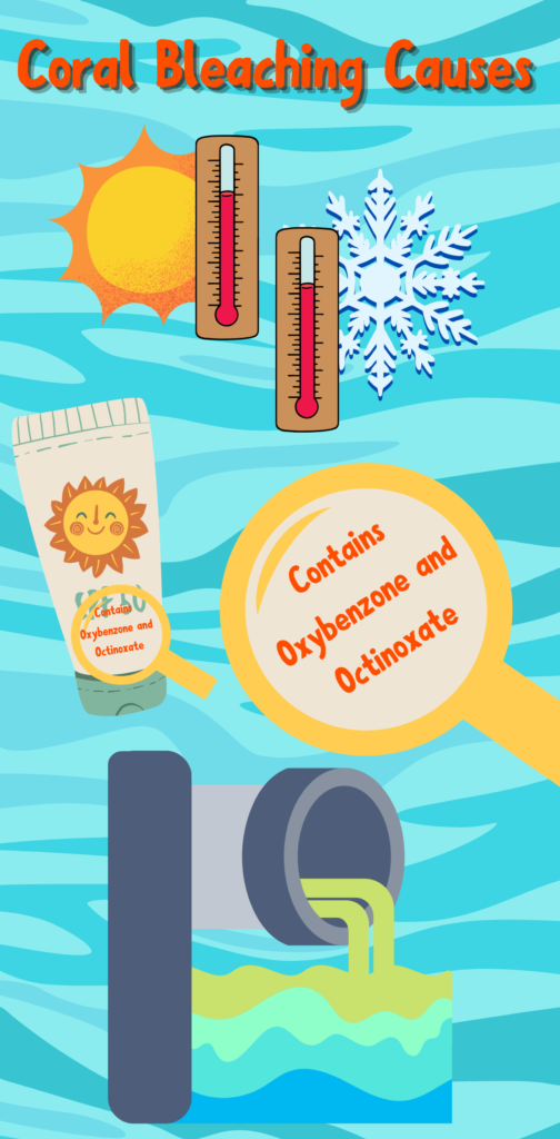 Sunscreen and Coral Bleaching | Reef Relief