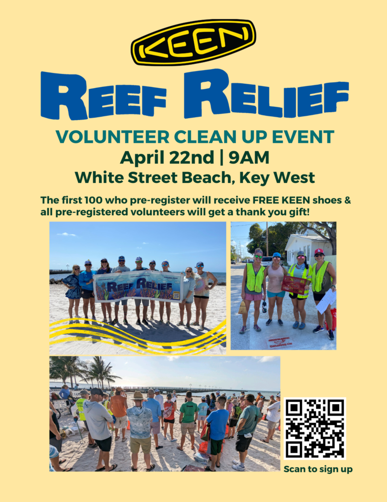 Volunteer | Reef Relief