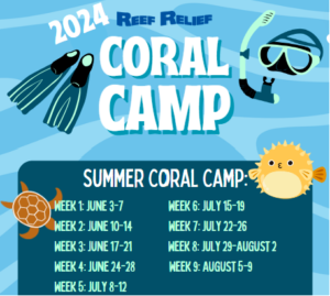 Coral Camp 2024 | Reef Relief