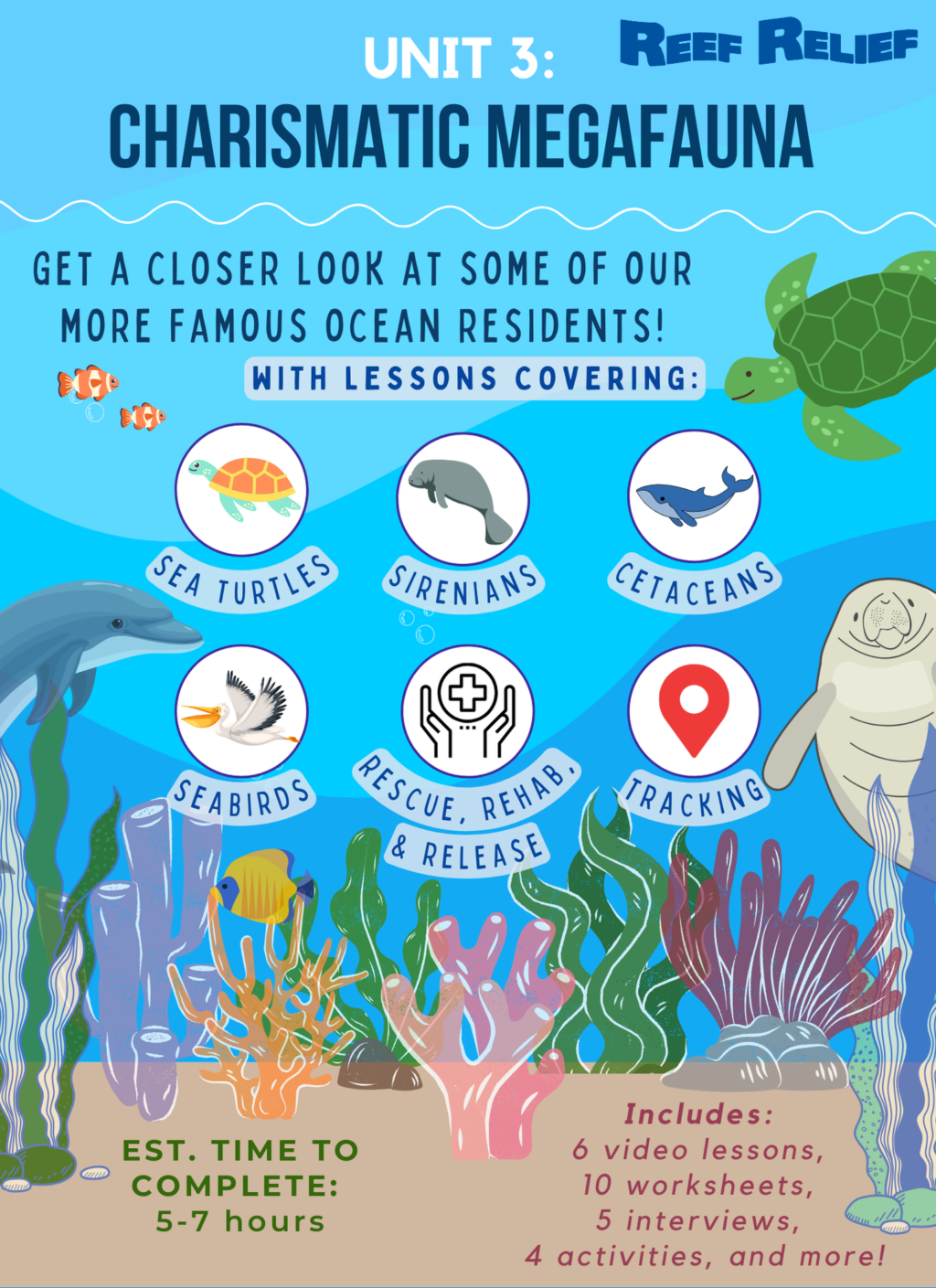 Virtual Classroom | Reef Relief