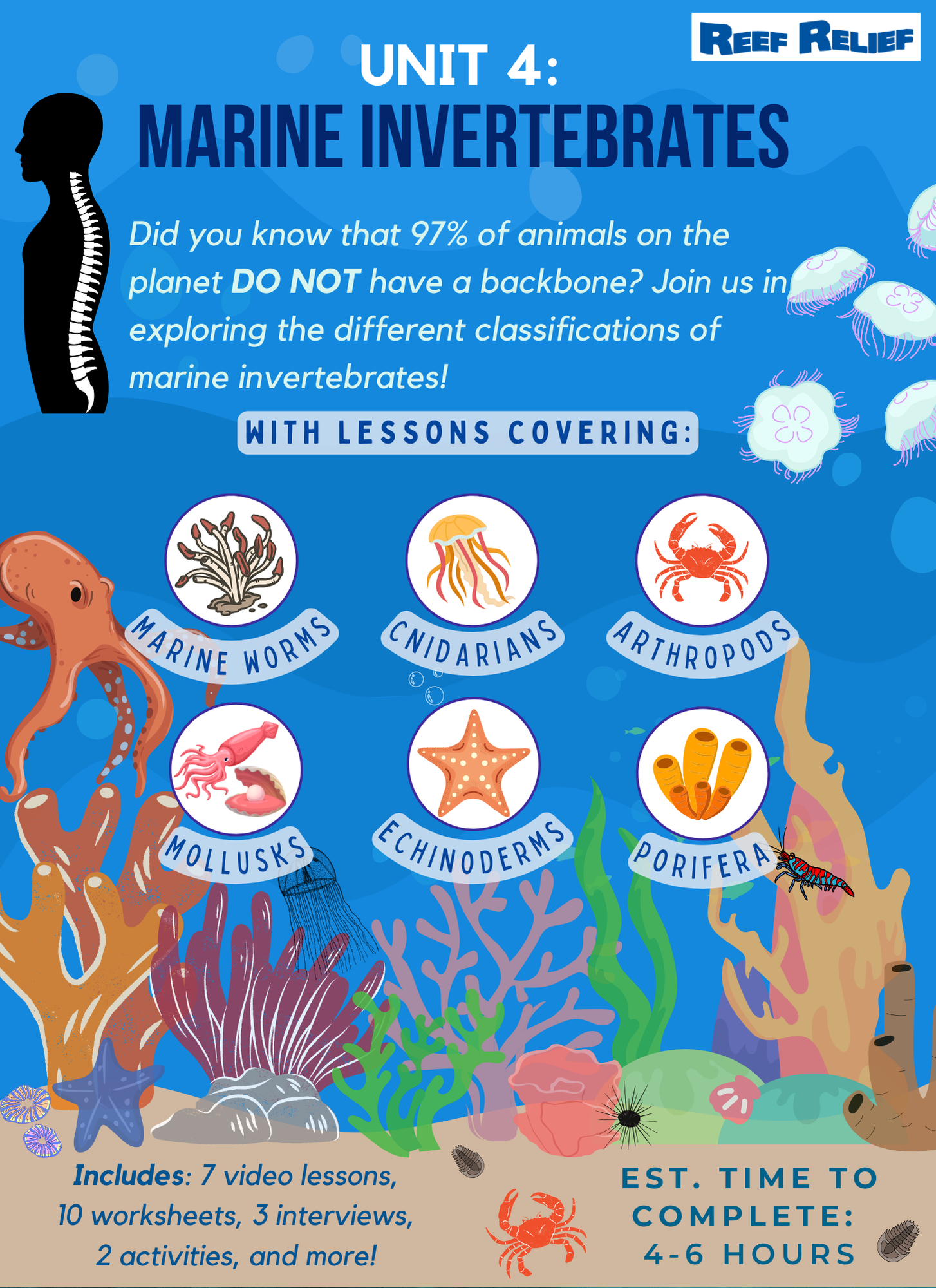 Virtual Classroom | Reef Relief