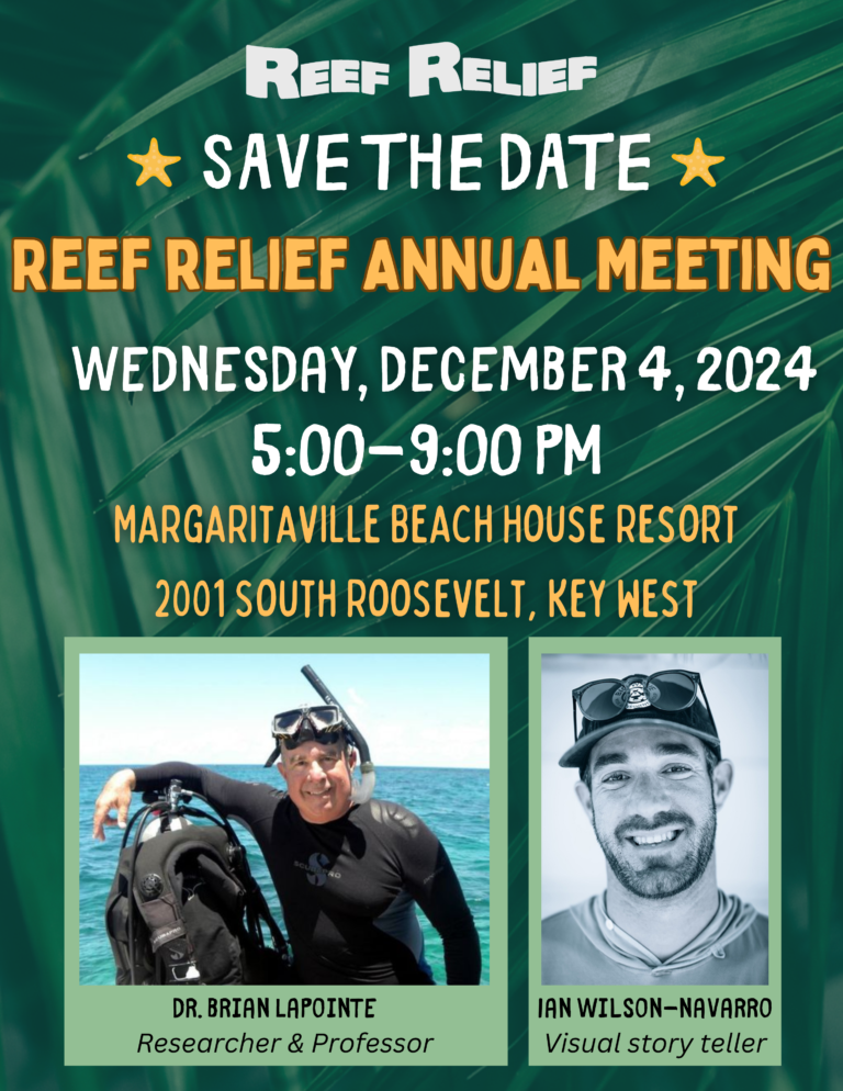 Reef Relief | Learn. Explore. Act Now.