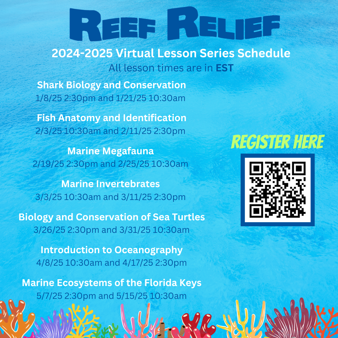Virtual Lesson Series | Reef Relief