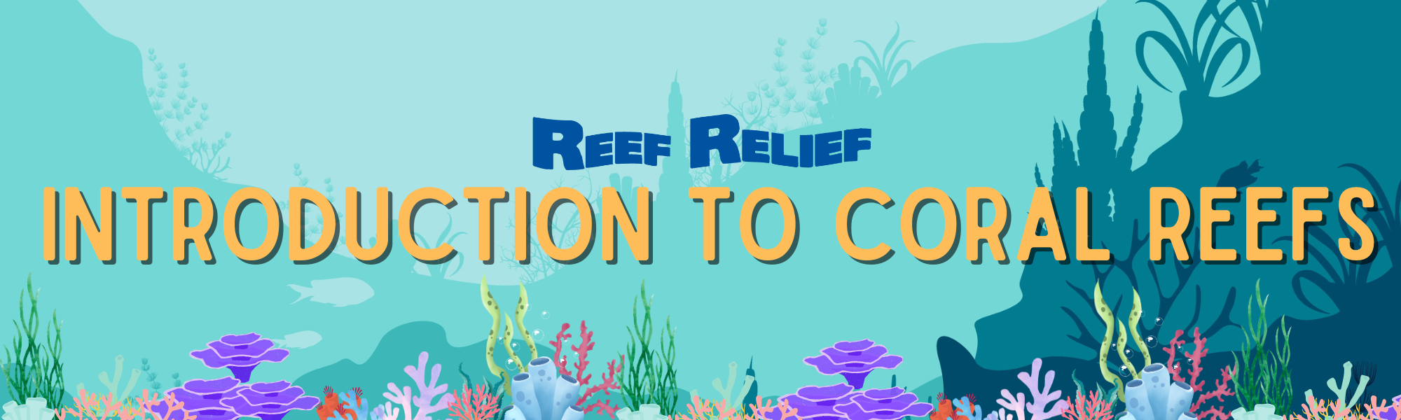Introduction to Coral Reefs