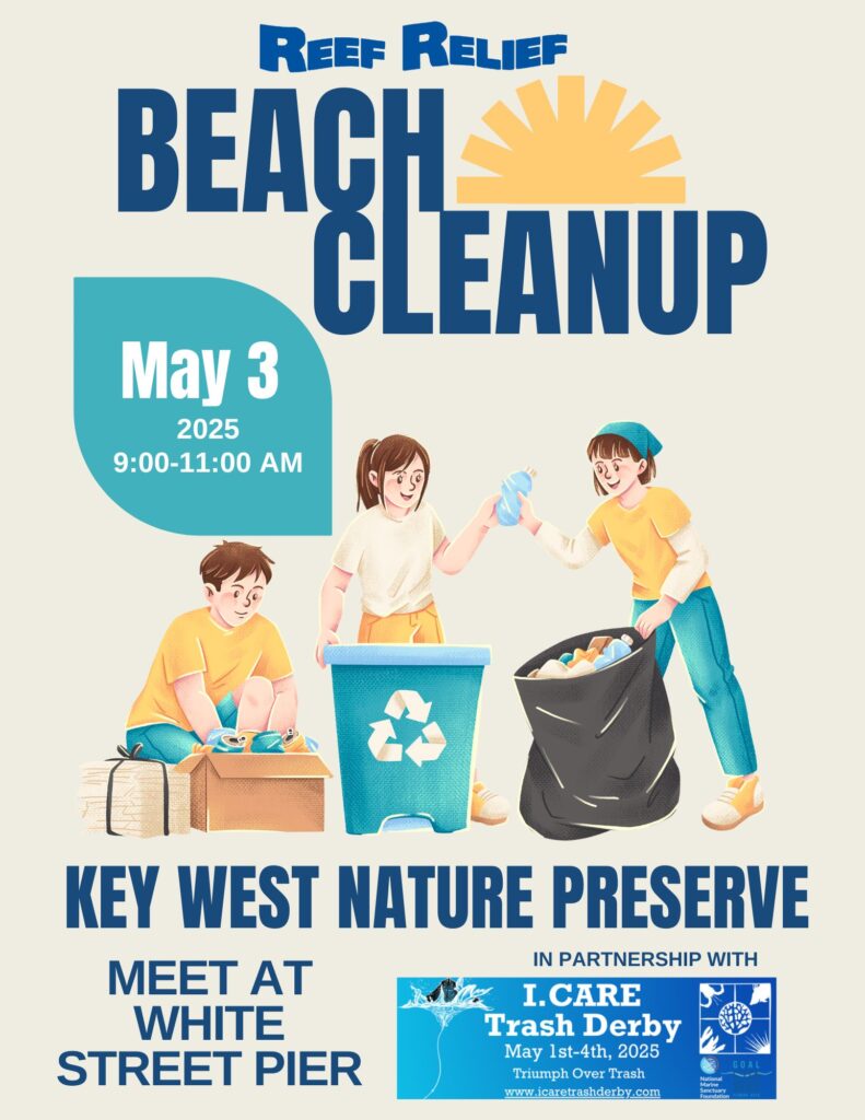 Volunteer | Reef Relief