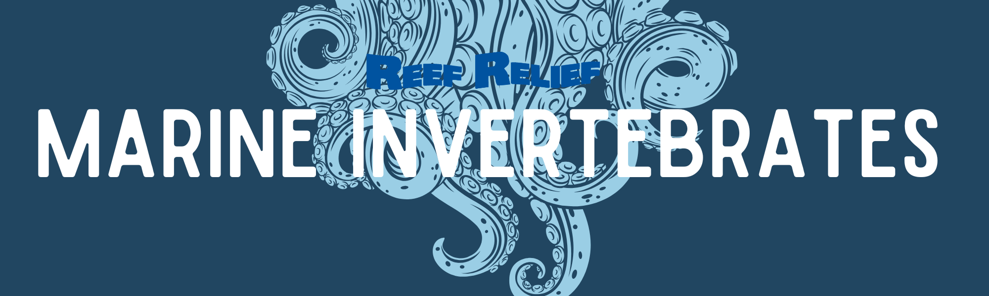 Protected: Marine Invertebrates | Reef Relief