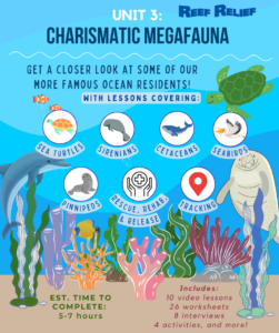 Virtual Classroom | Reef Relief