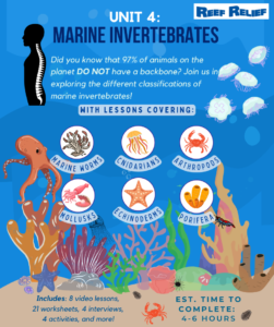 Virtual Classroom | Reef Relief