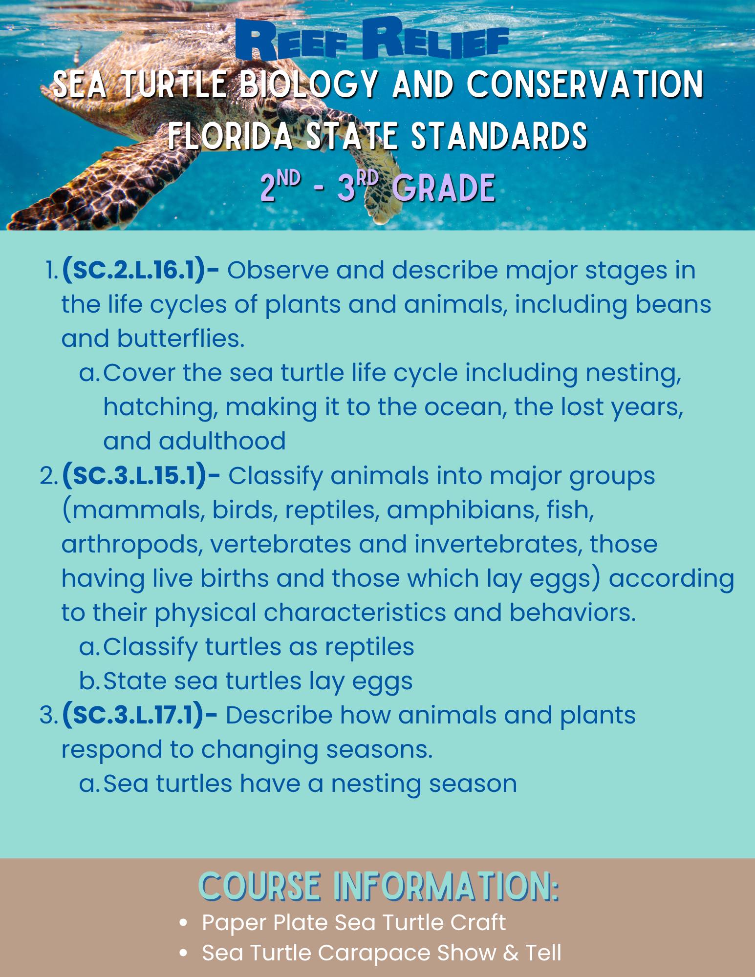 Biology and Conservation of Sea Turtles Florida State Standards | Reef ...