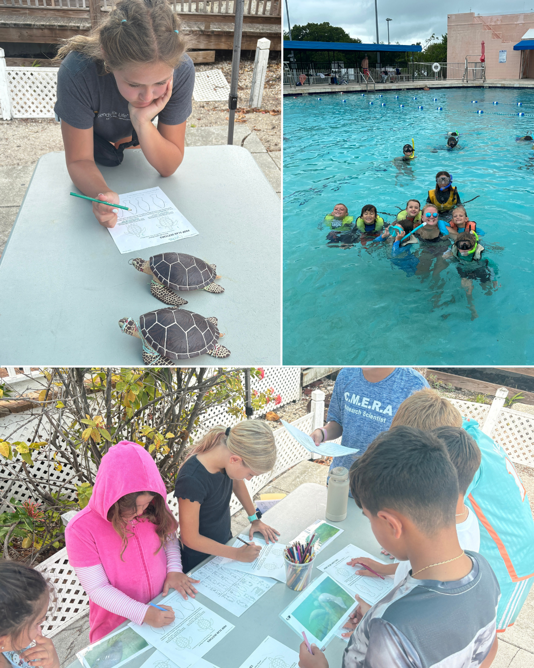 Coral Camp | Reef Relief