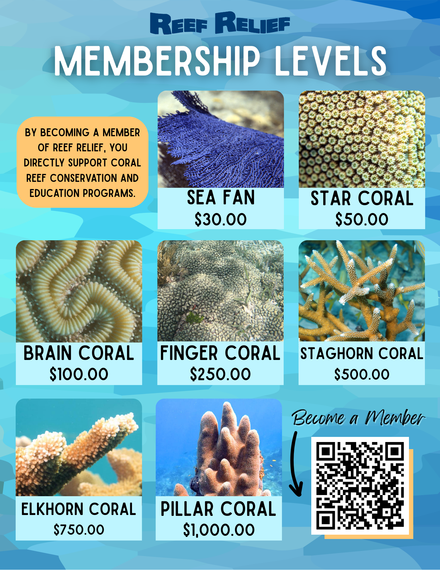 Become a Member | Reef Relief